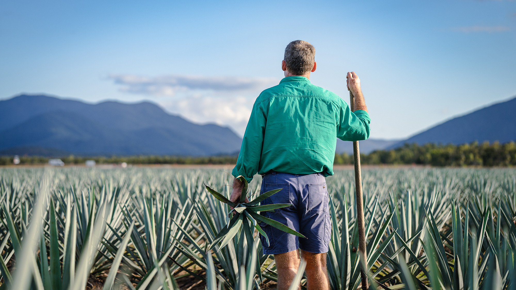 Act of Treason - Red Dot Studio