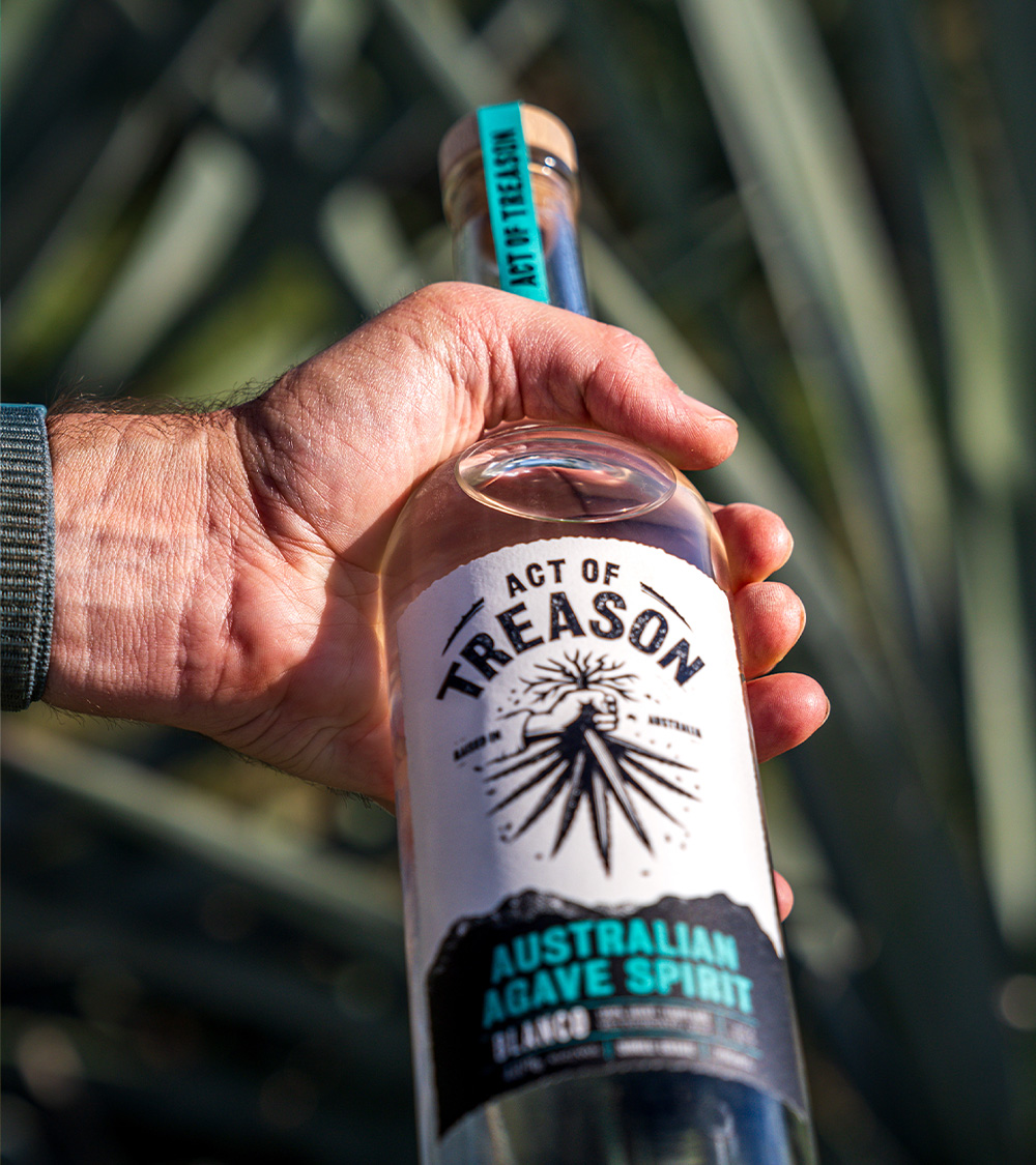 Act of Treason - Red Dot Studio