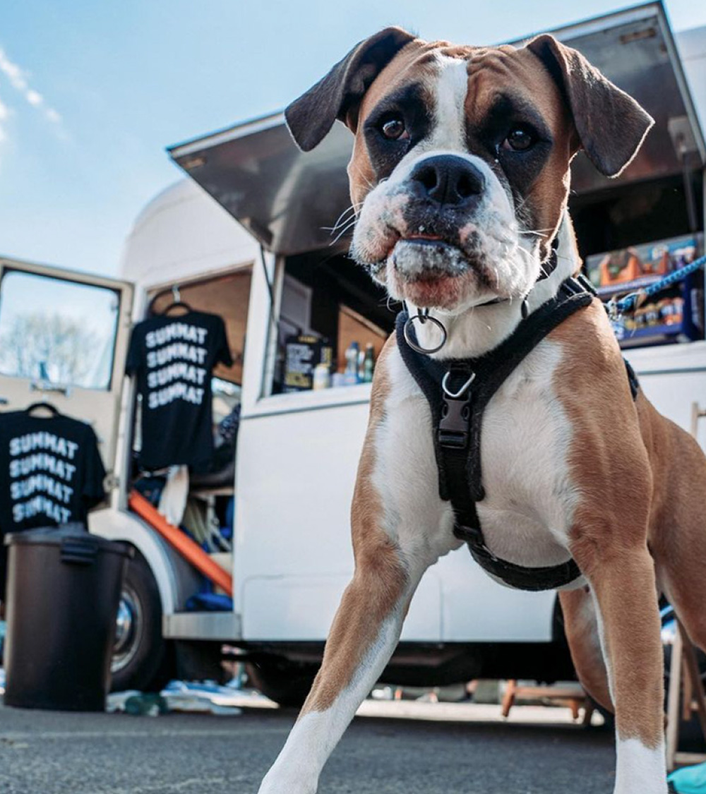 Summat - Red Dot Studio